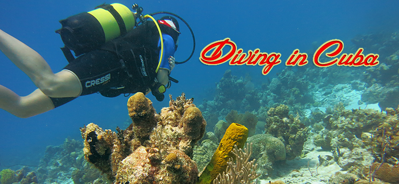 Scuba Diving Cuba ★ Snorkeling Cuba